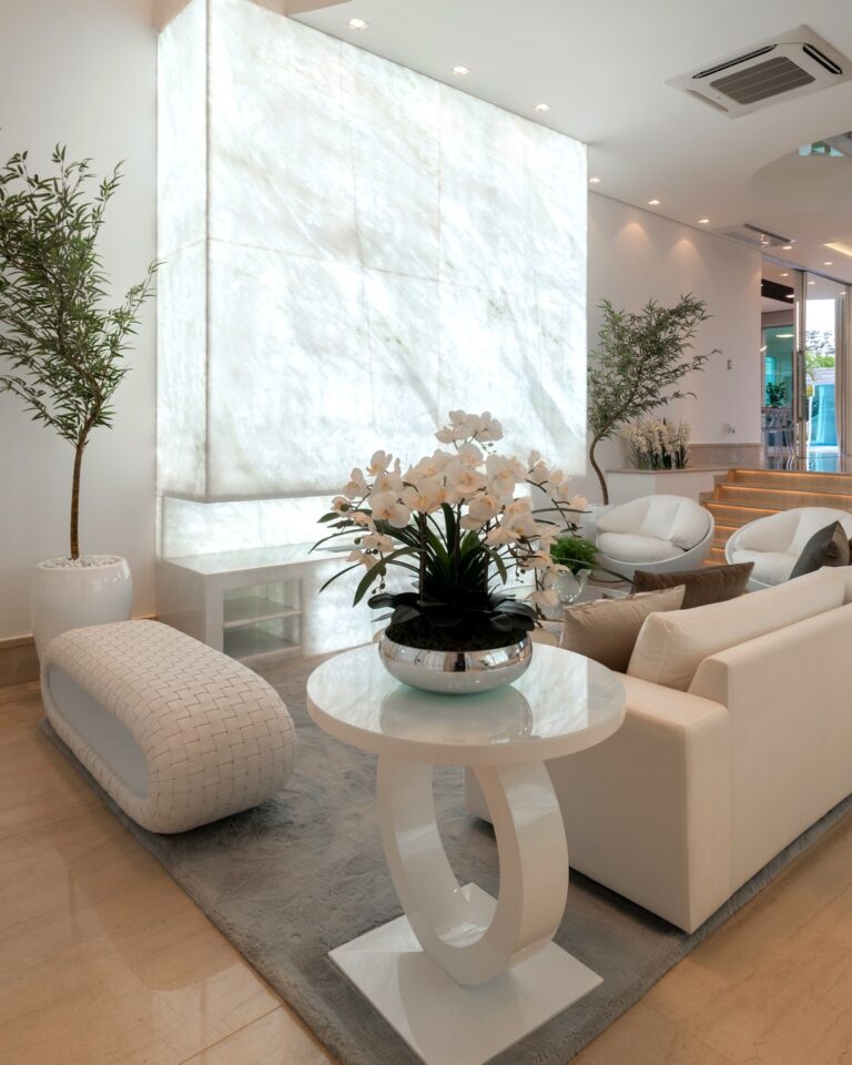 Bambu mossô: dicas para cultivar e usá-lo na decoração