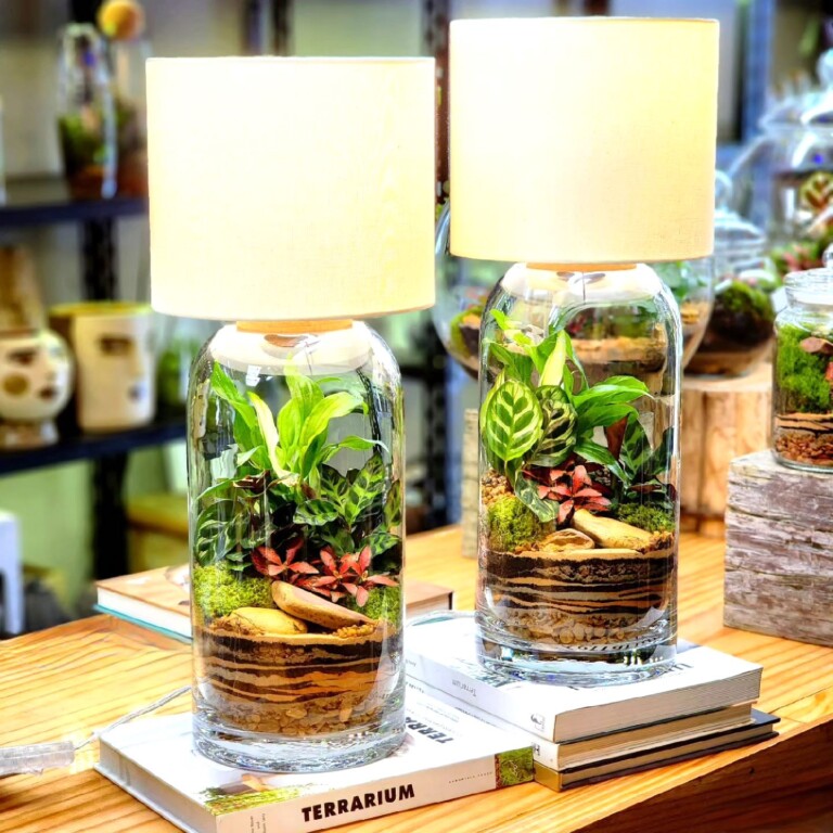 Terrário: como fazer e 30 ideias para montar o seu