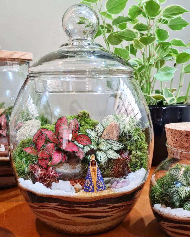 Terrário: como fazer e 30 ideias para montar o seu