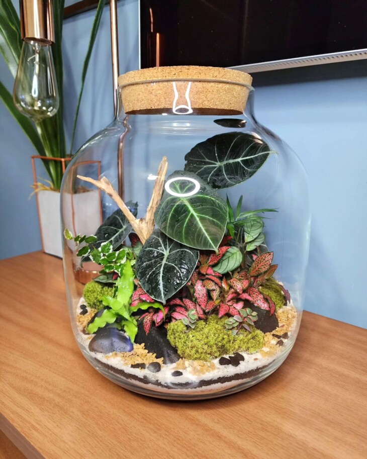 Terrário: como fazer e 30 ideias para montar o seu