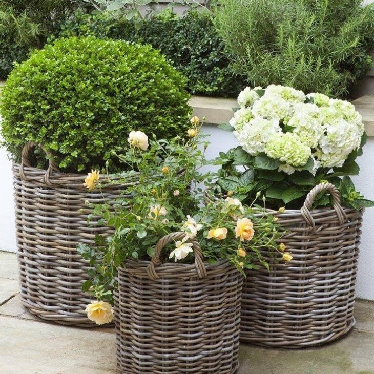 Cachepot: aprenda a fazer e veja 50 modelos lindos e funcionais