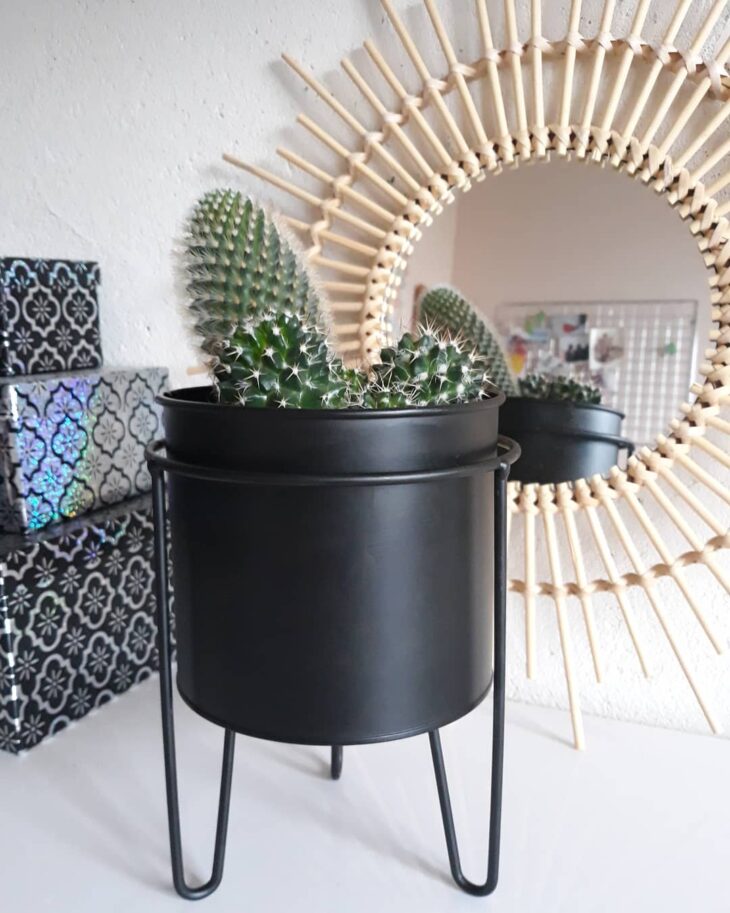 Cachepot: aprenda a fazer e veja 50 modelos lindos e funcionais