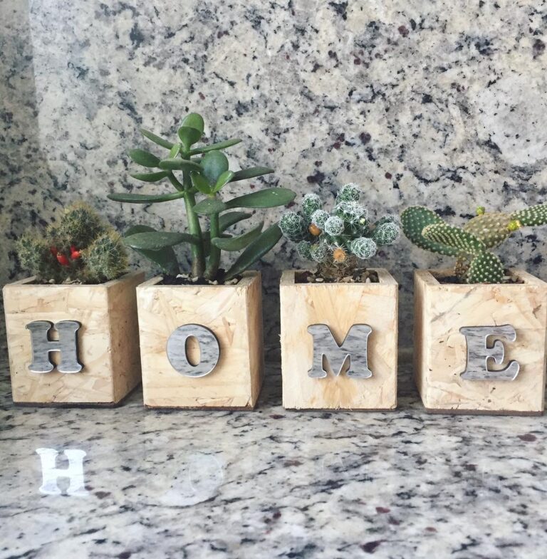 Cachepot: aprenda a fazer e veja 50 modelos lindos e funcionais