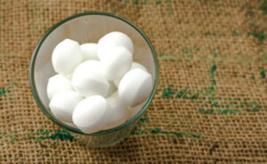 Como eliminar traça: 8 formas simples e eficazes