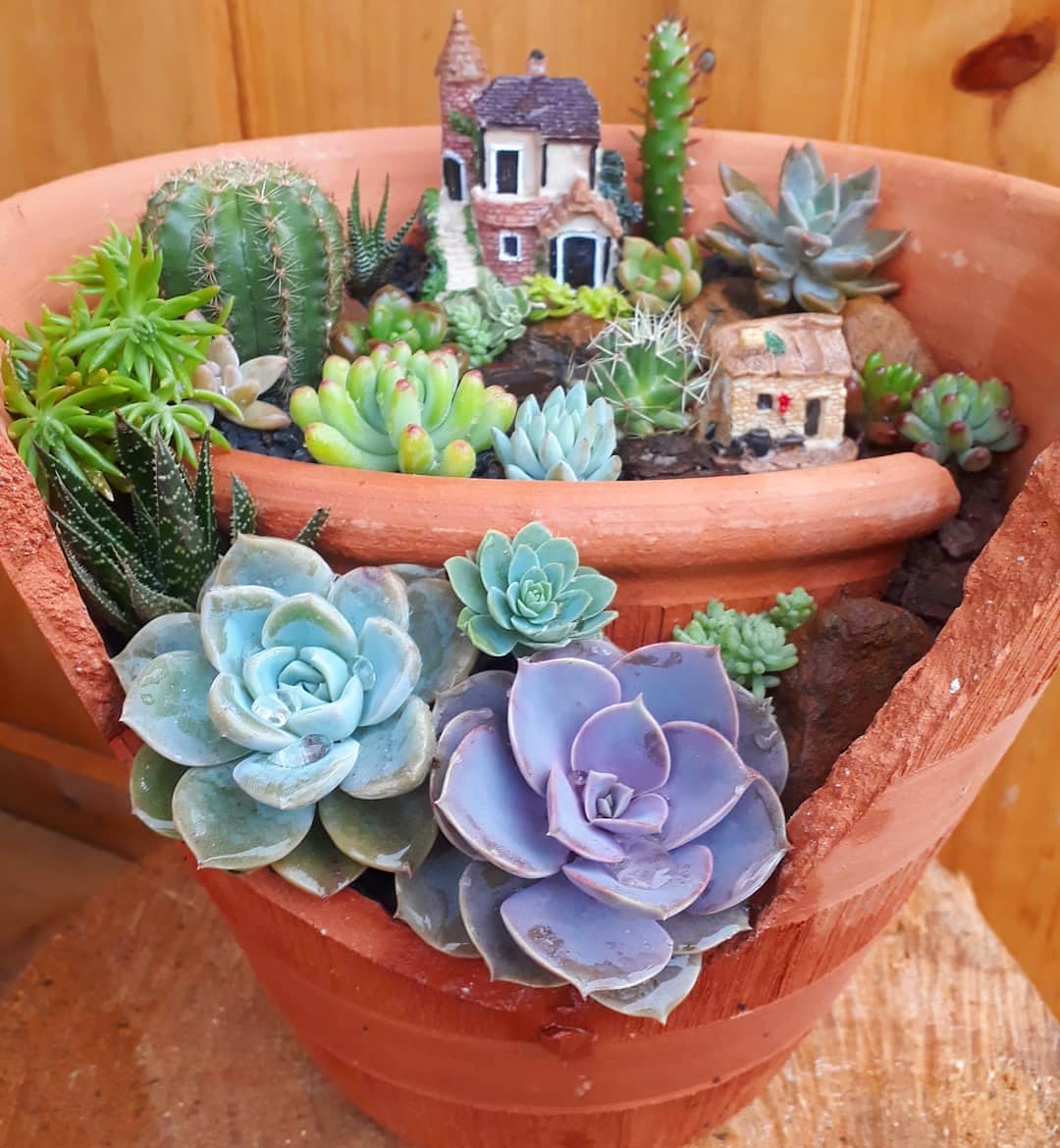 Minijardim: 30 ideias LINDAS em miniaturas [COMO FAZER]