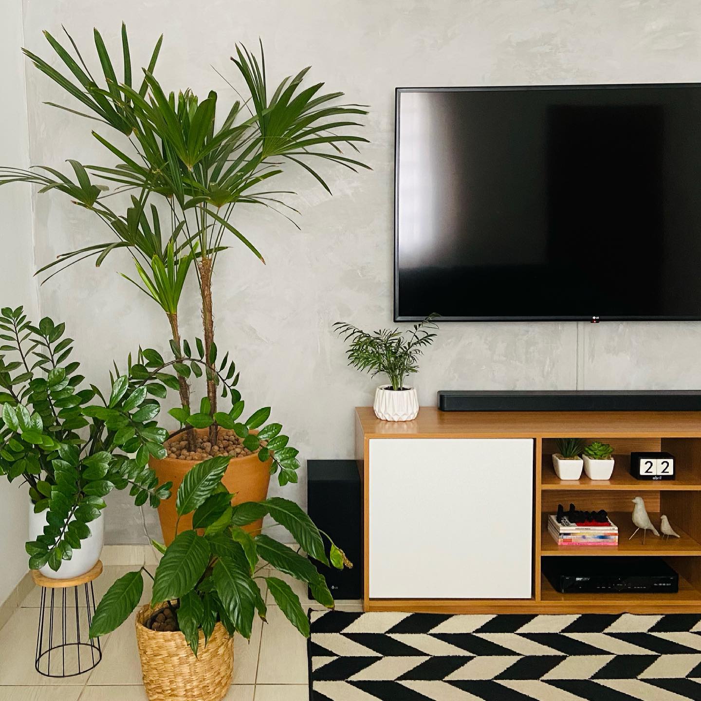 Palmeira Ráfia: significado, como cuidar e 25 fotos