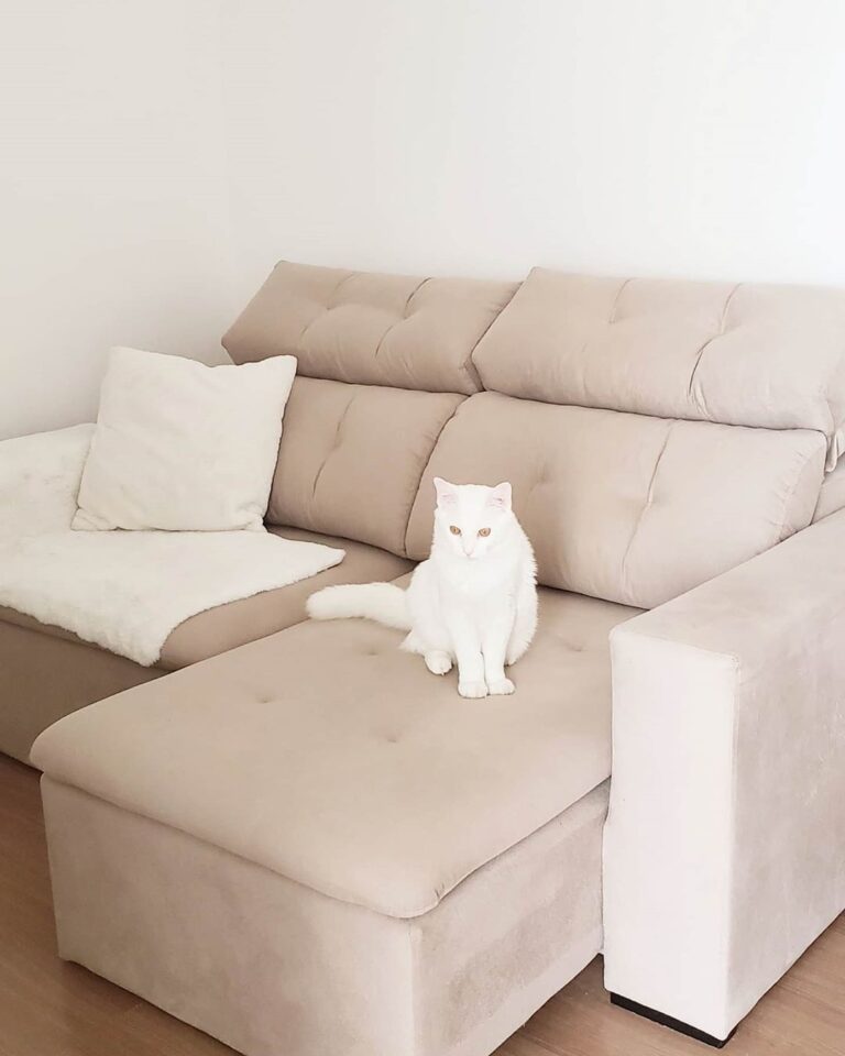 Sofá bege: 70 ideias elegantes para adotar em sua sala