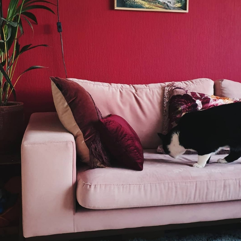 Sofá rosa: 60 inspirações que vão ganhar o seu coração