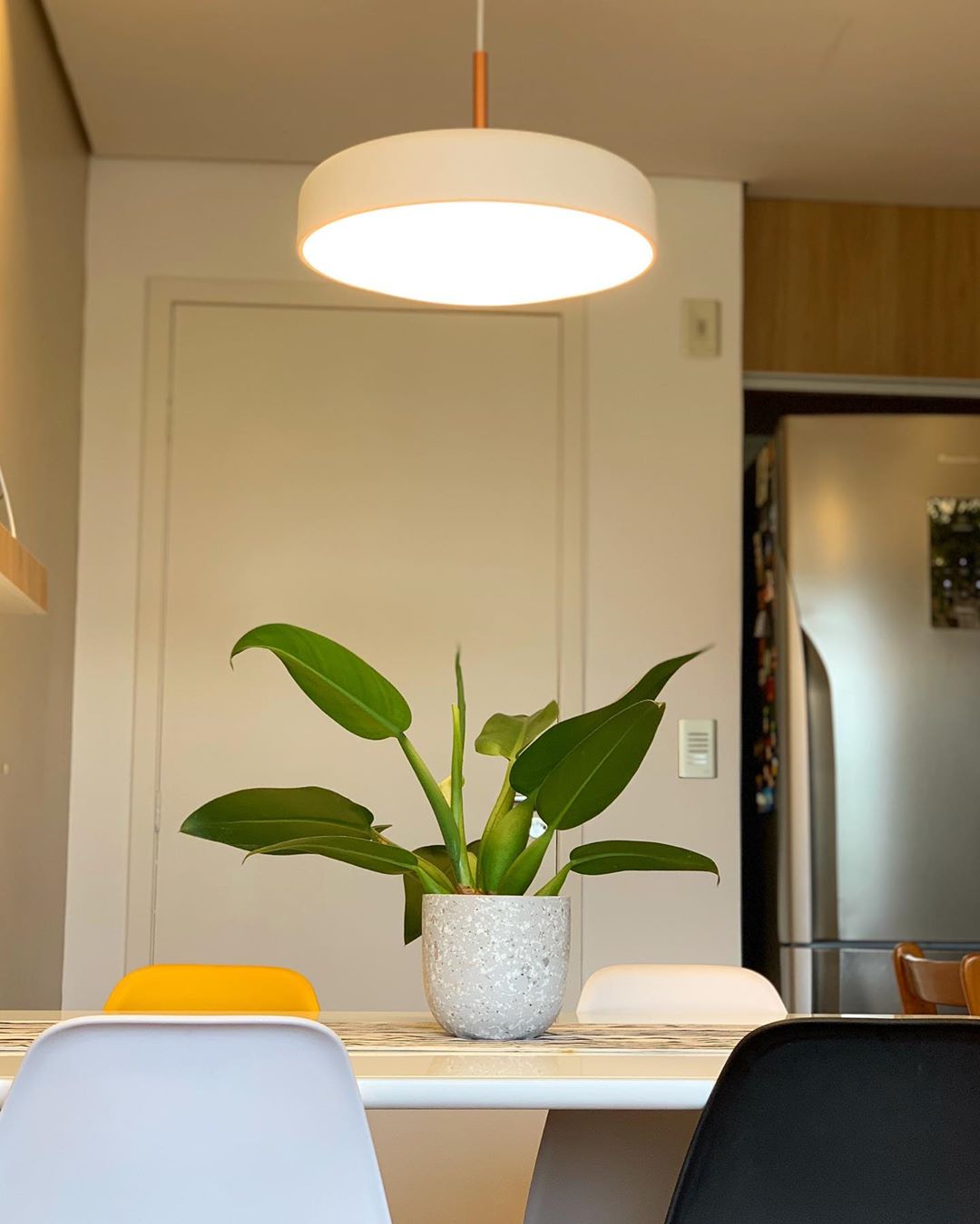 Pacová: como cultivar e usar a folhagem na decoração