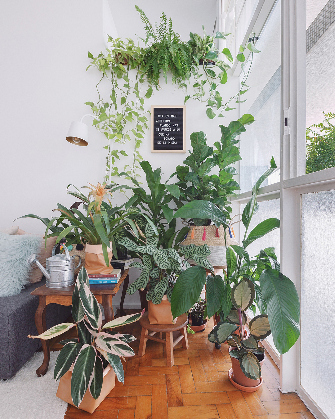 Urban jungle: 35 ideias para levar a natureza pra dentro de casa