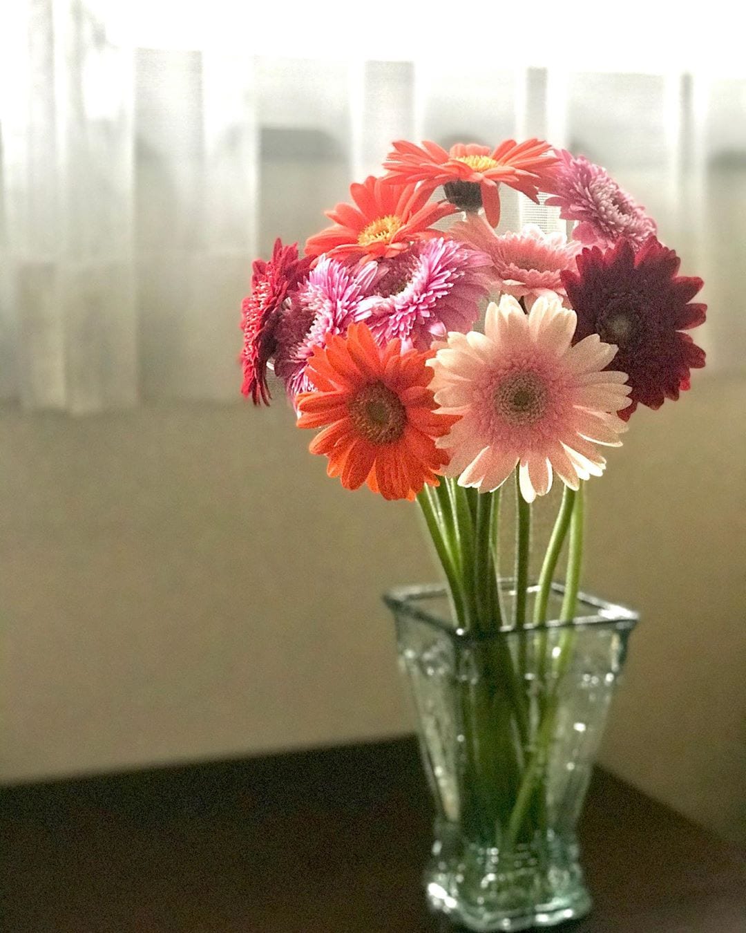 Gérbera: significado, como cuidar e 40 ideias de arranjos [FOTOS]