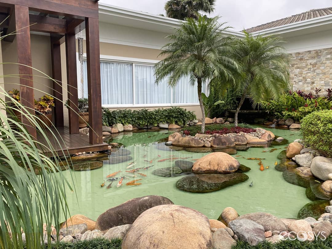 Piscina natural: o que é, como funciona + 30 projetos INCRÍVEIS