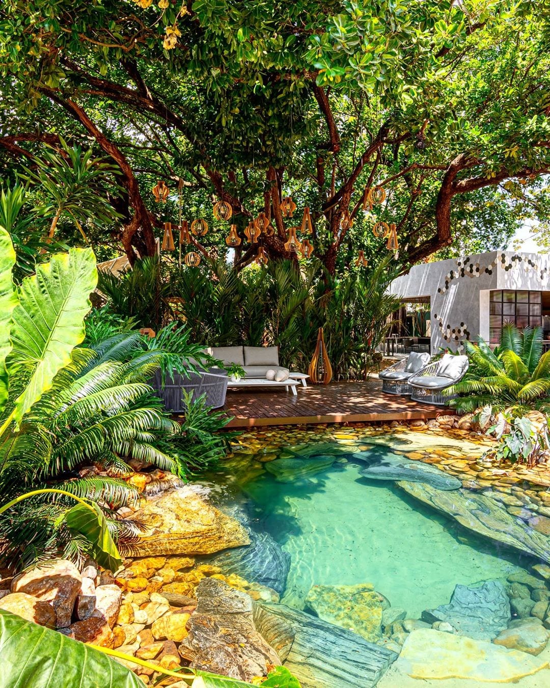 Piscina natural: o que é, como funciona + 30 projetos INCRÍVEIS