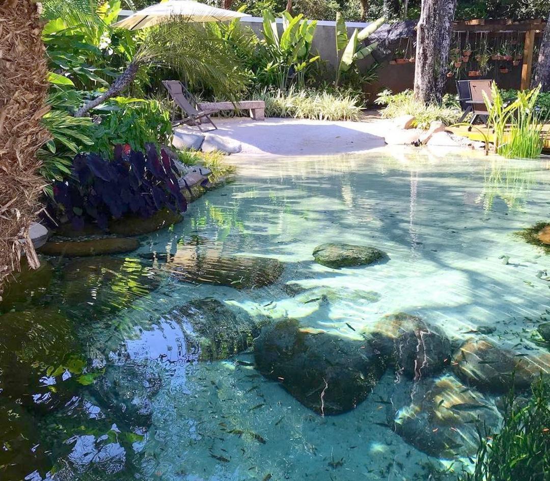 Piscina natural: o que é, como funciona + 30 projetos INCRÍVEIS