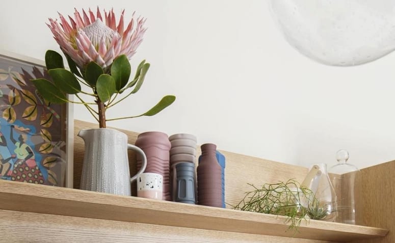 Proteas: significado, dicas de cuidados e fotos