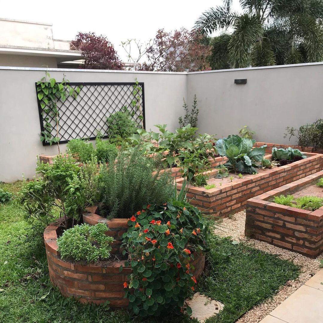 Horta no quintal: o que plantar + 60 ideias para fazer a sua