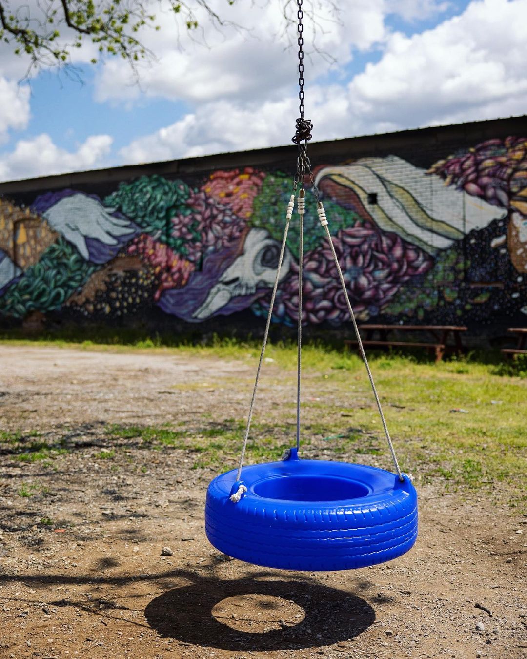Balanço de pneu: 25 fotos e tutoriais de como fazer e se divertir