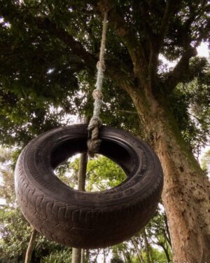 Balanço de pneu: 25 fotos e tutoriais de como fazer e se divertir