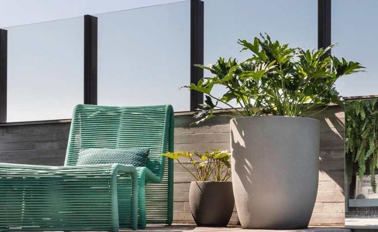 Plantas para varanda: espécies indicadas e composições