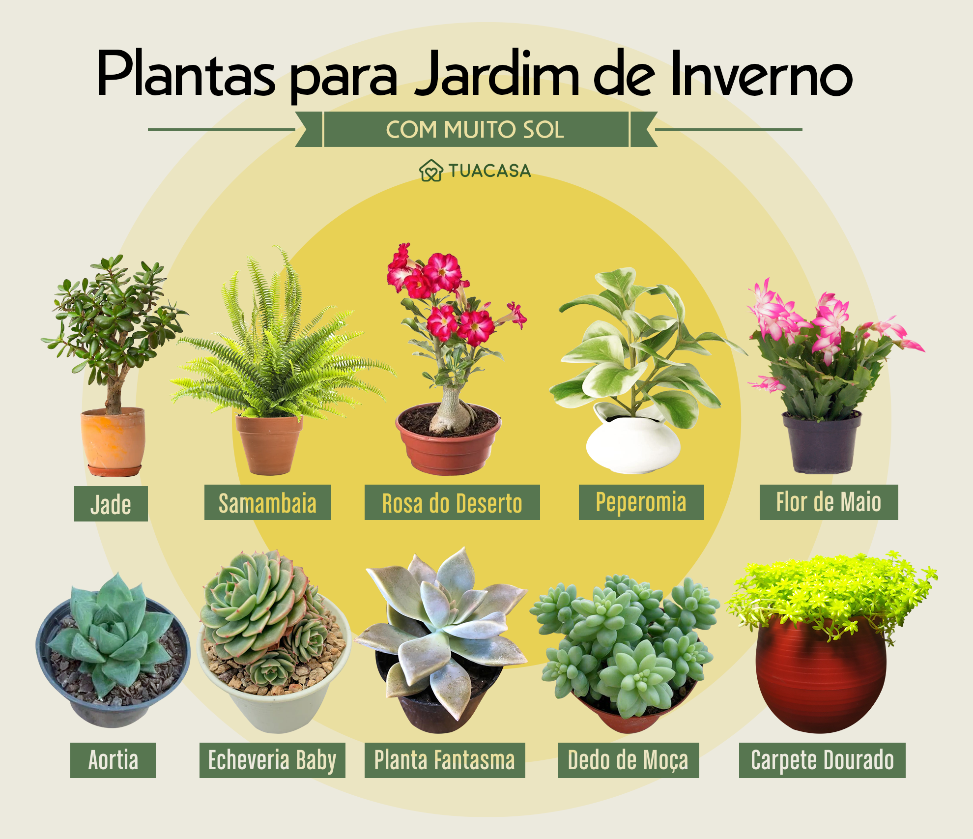 Plantas Para Jardim De Inverno 30 Espécies Indicadas 20 Fotos