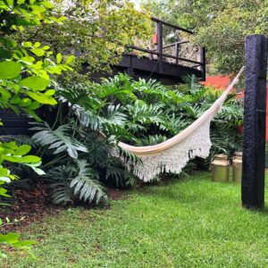 Guaimbê: dicas práticas para cultivar + ideias para seu jardim