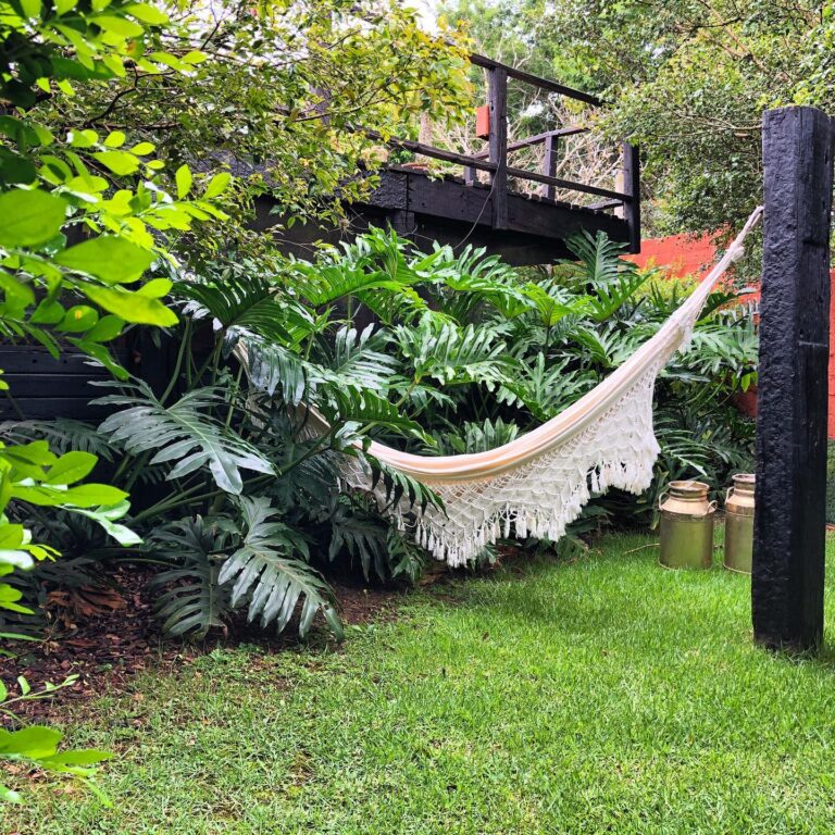 Guaimbê: dicas práticas para cultivar + ideias para seu jardim