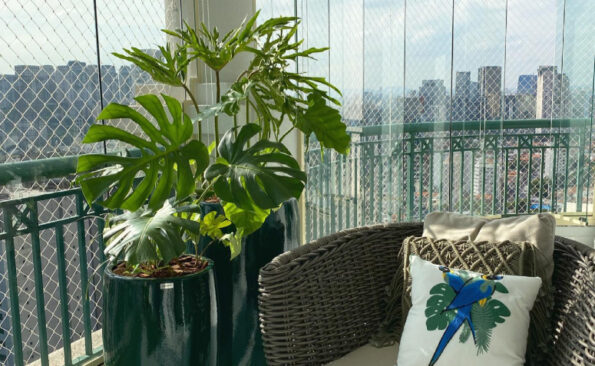 Guaimbê: dicas práticas para cultivar + ideias para seu jardim