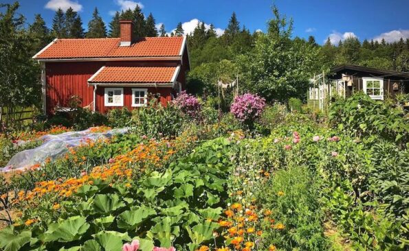 Cottagecore: o que é e como decorar com a estética