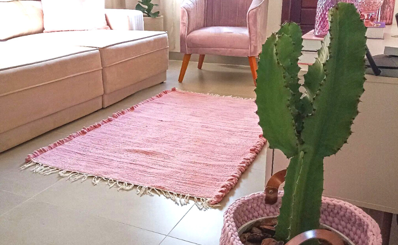 Mandacaru: o que é, significado, como cuidar, vídeos e fotos