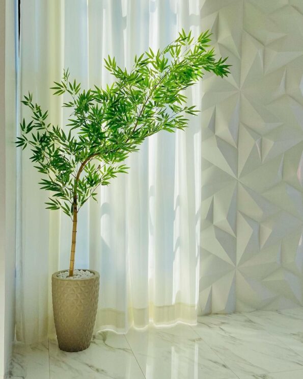 Bambu mossô: dicas para cultivar e usá-lo na decoração