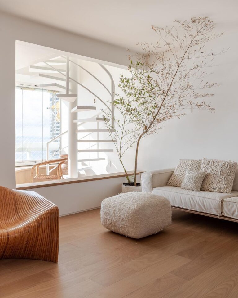 Bambu mossô: dicas para cultivar e usá-lo na decoração