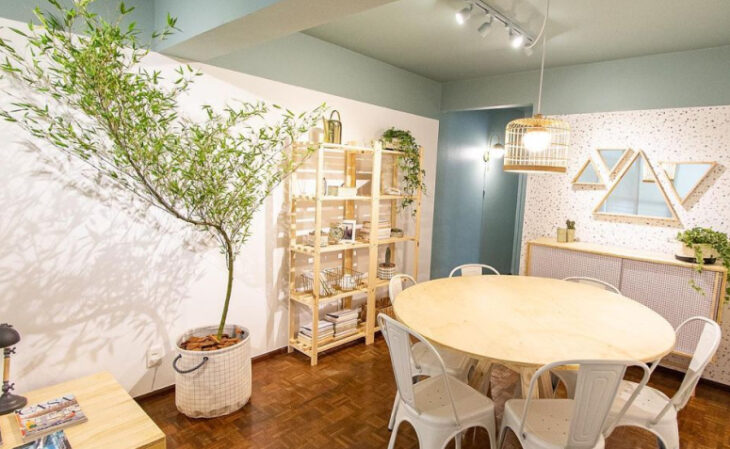 Bambu mossô: dicas para cultivar e usá-lo na decoração