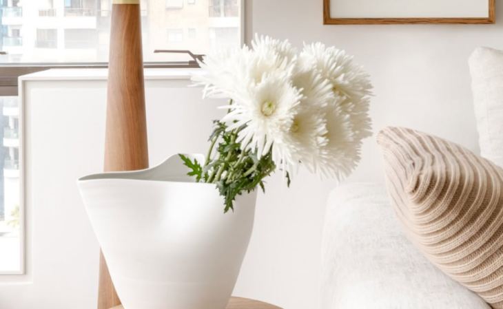 6 plantas que afastam baratas para ter em casa 6 plantas que afastam baratas para ter em casa